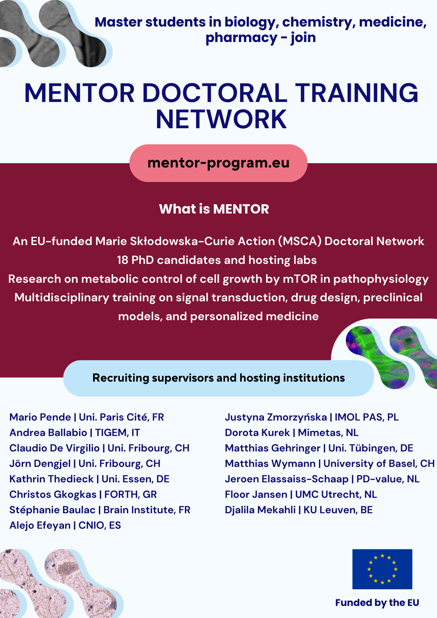 MSCA DN MENTOR – 18 fully funded PhD positions in mTOR signaling across ...